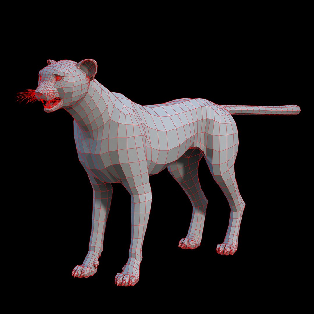3d Model Cheetah Cat