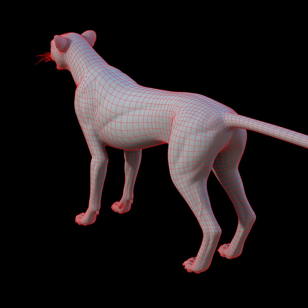 3d Model Cheetah Cat