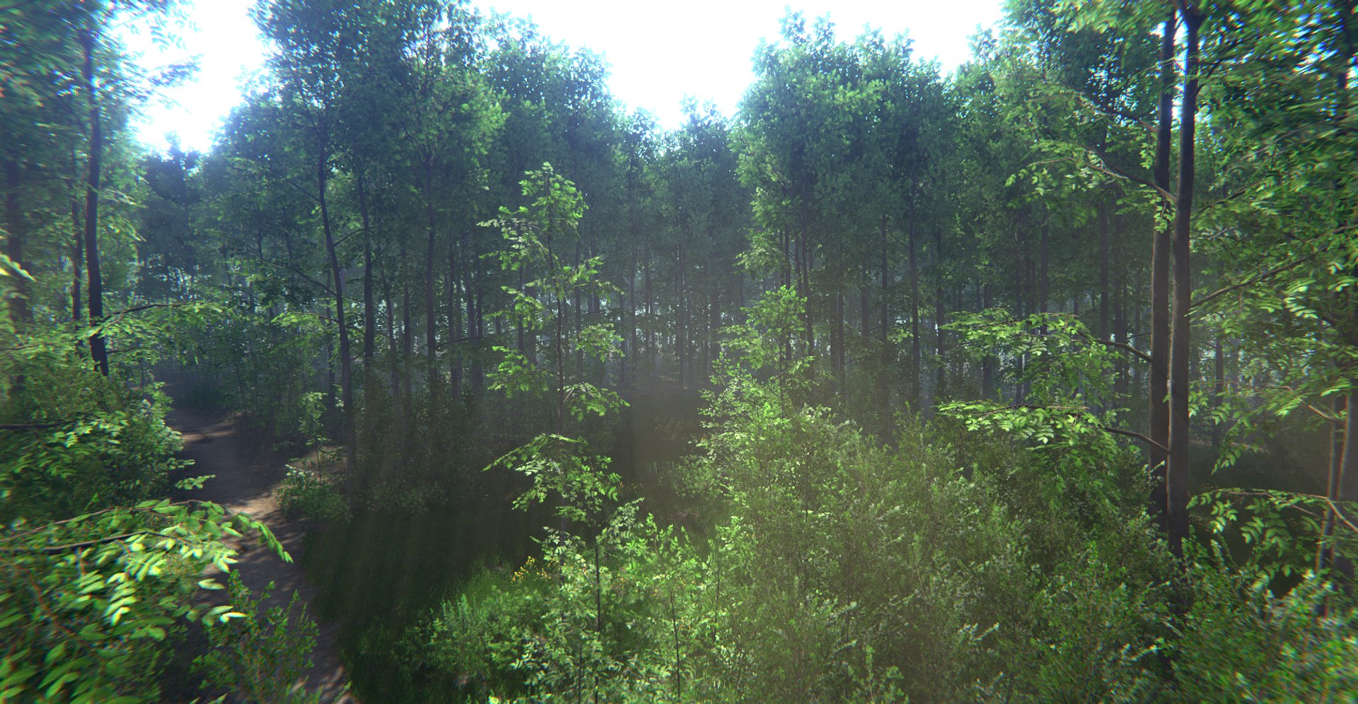 3D package trees forest environments model - TurboSquid 1622328