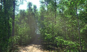 Animated And Bundle 3D Unity Chain Models For Download | TurboSquid