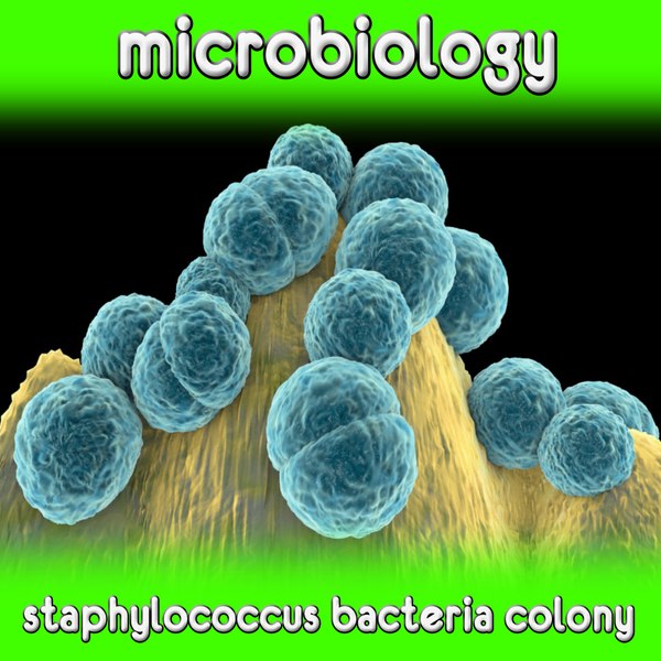 Kolonia bakterii Staphylococcus Model 3D - TurboSquid 675394