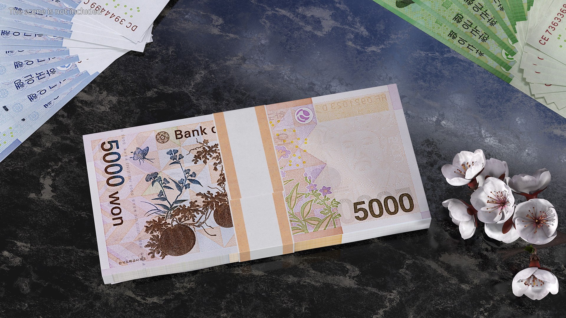 South Korean 5000 Won Banknotes Bundle 3D Model - TurboSquid 1730038
