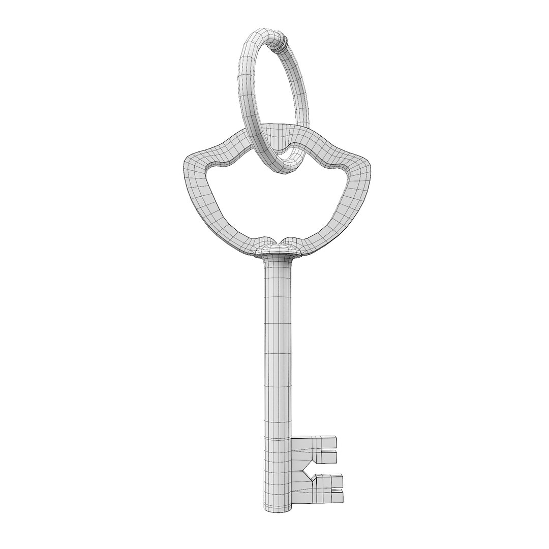 Key 3d Model 3D - TurboSquid 1986959