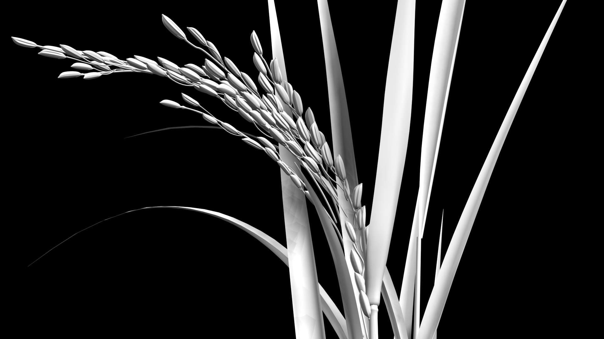 PADDY PLANT OPTION 7 FINAL 3D Model - TurboSquid 1855407