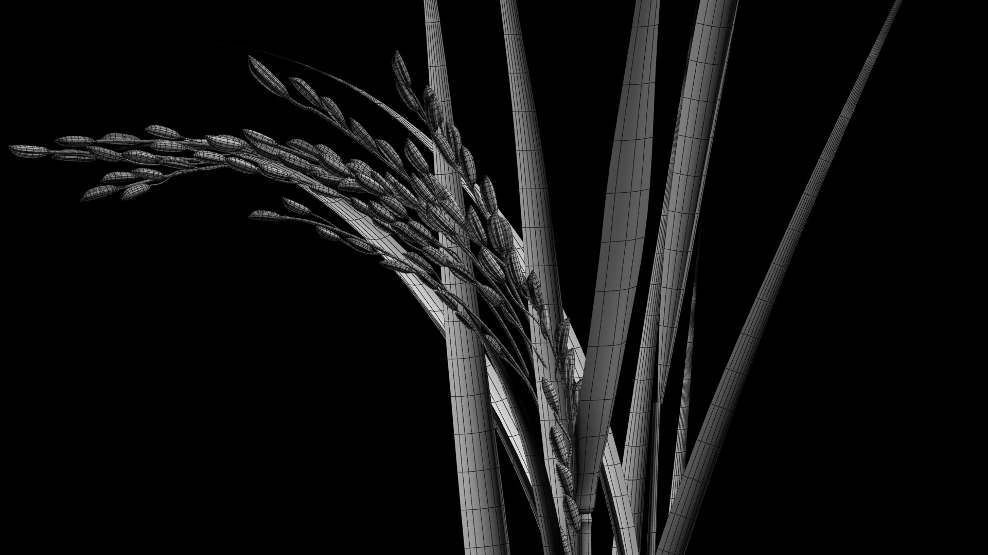 PADDY PLANT OPTION 7 FINAL 3D Model - TurboSquid 1855407