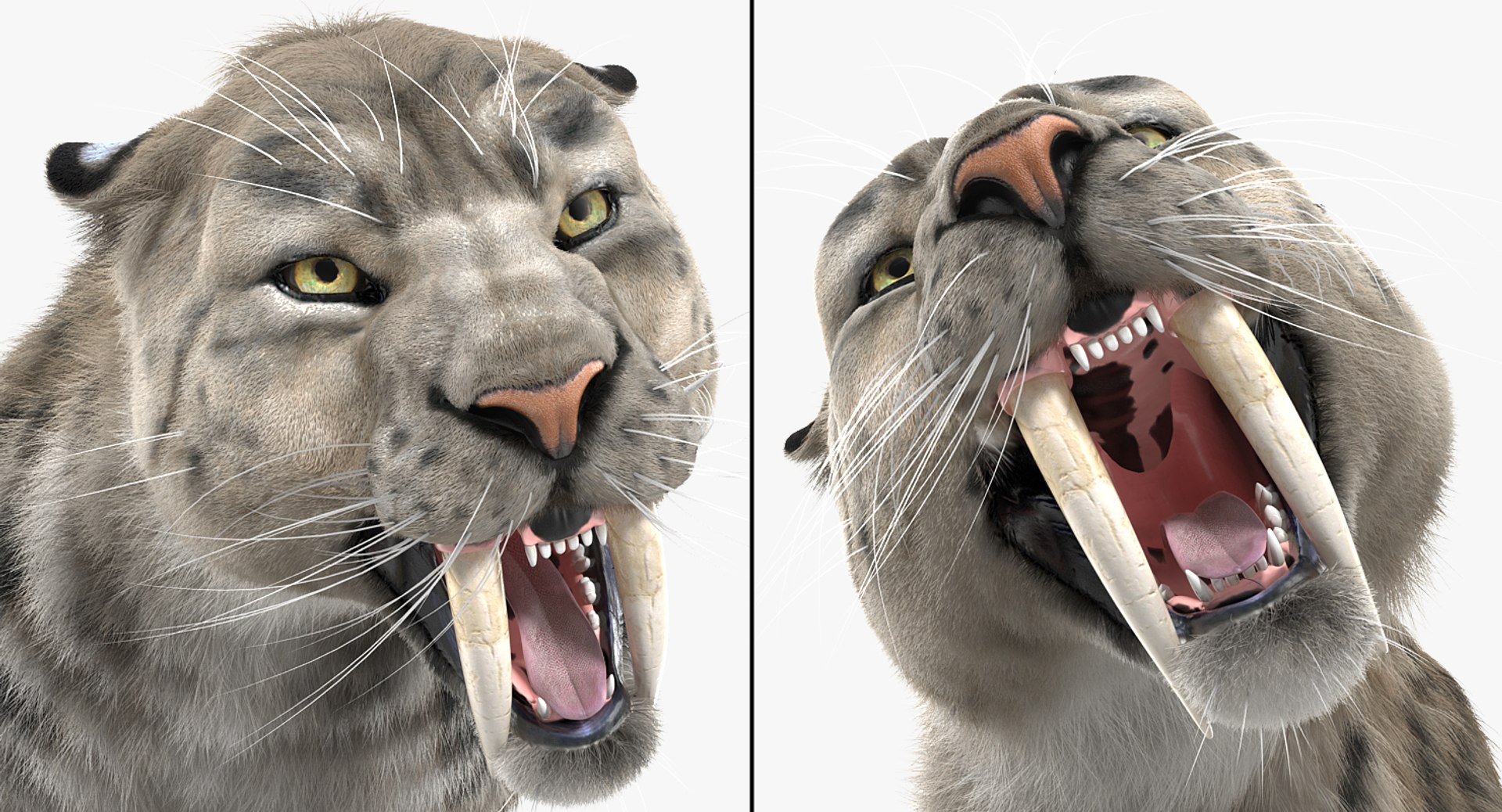 Arctic Saber Tooth Cat 3D - TurboSquid 1329410