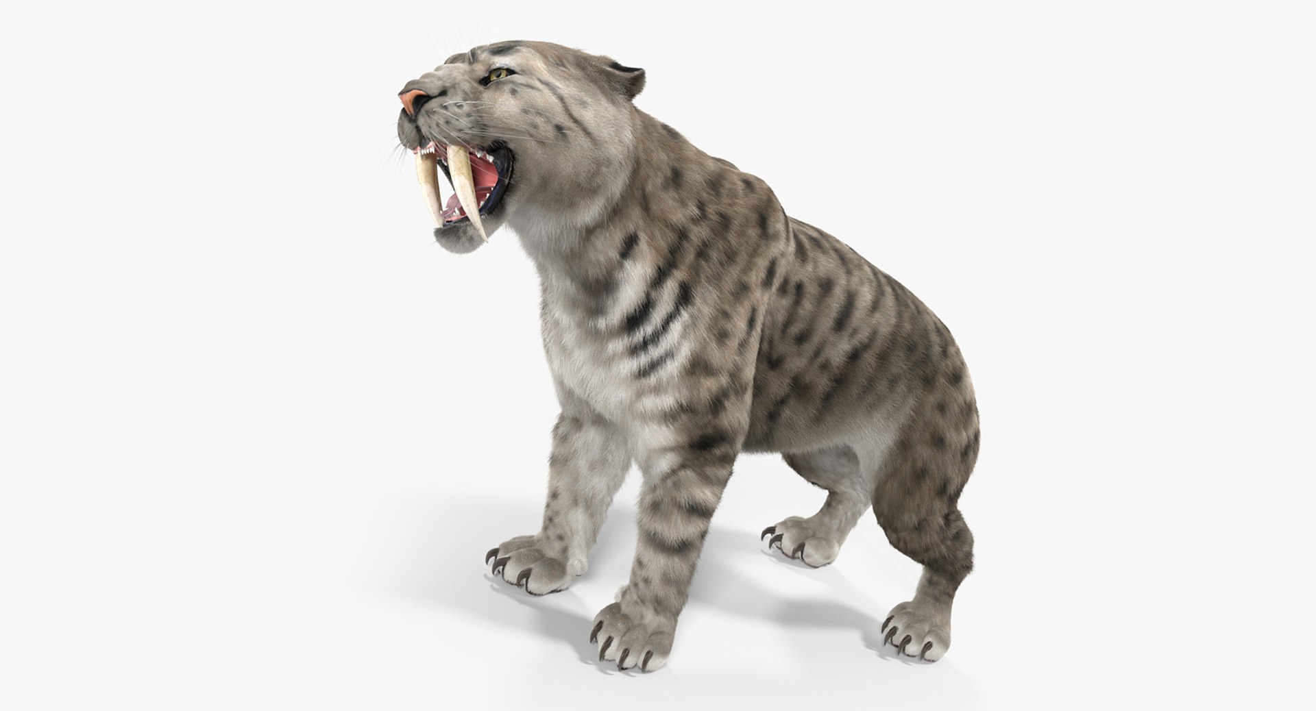 Arctic Saber Tooth Cat 3D - TurboSquid 1329410