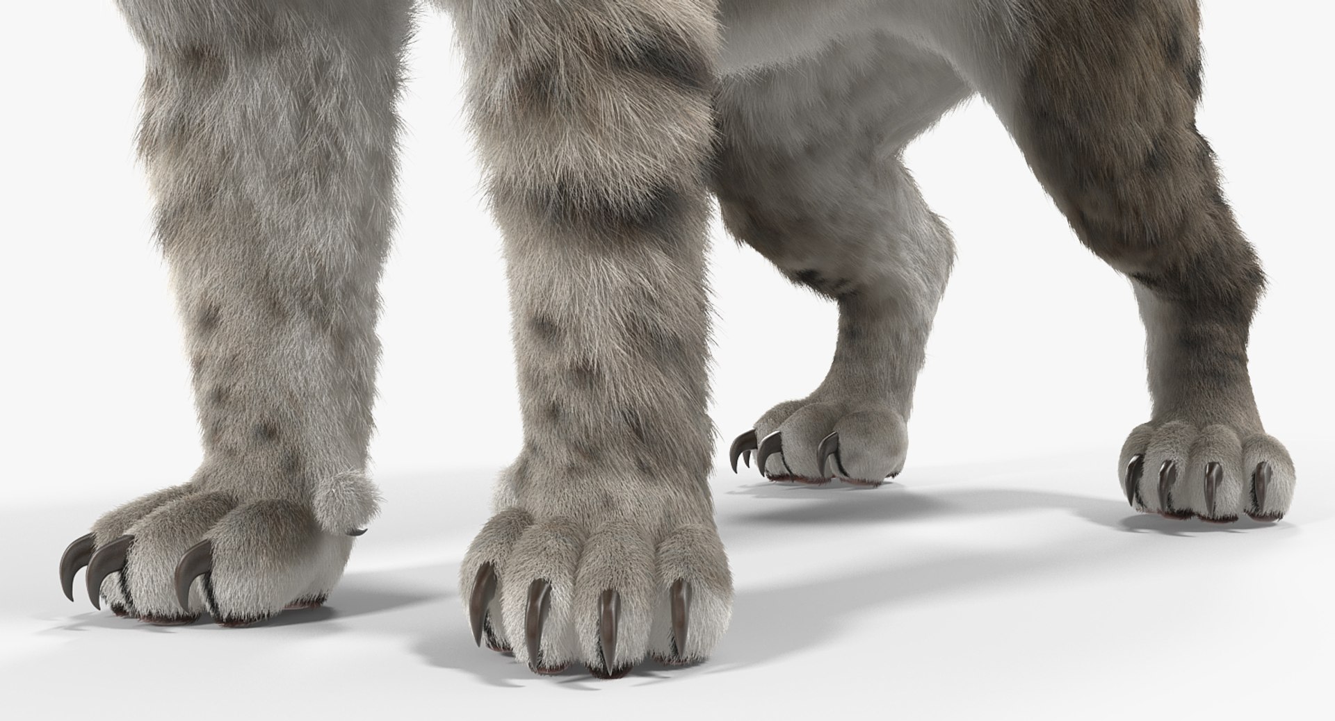 Arctic Saber Tooth Cat 3D - TurboSquid 1329410