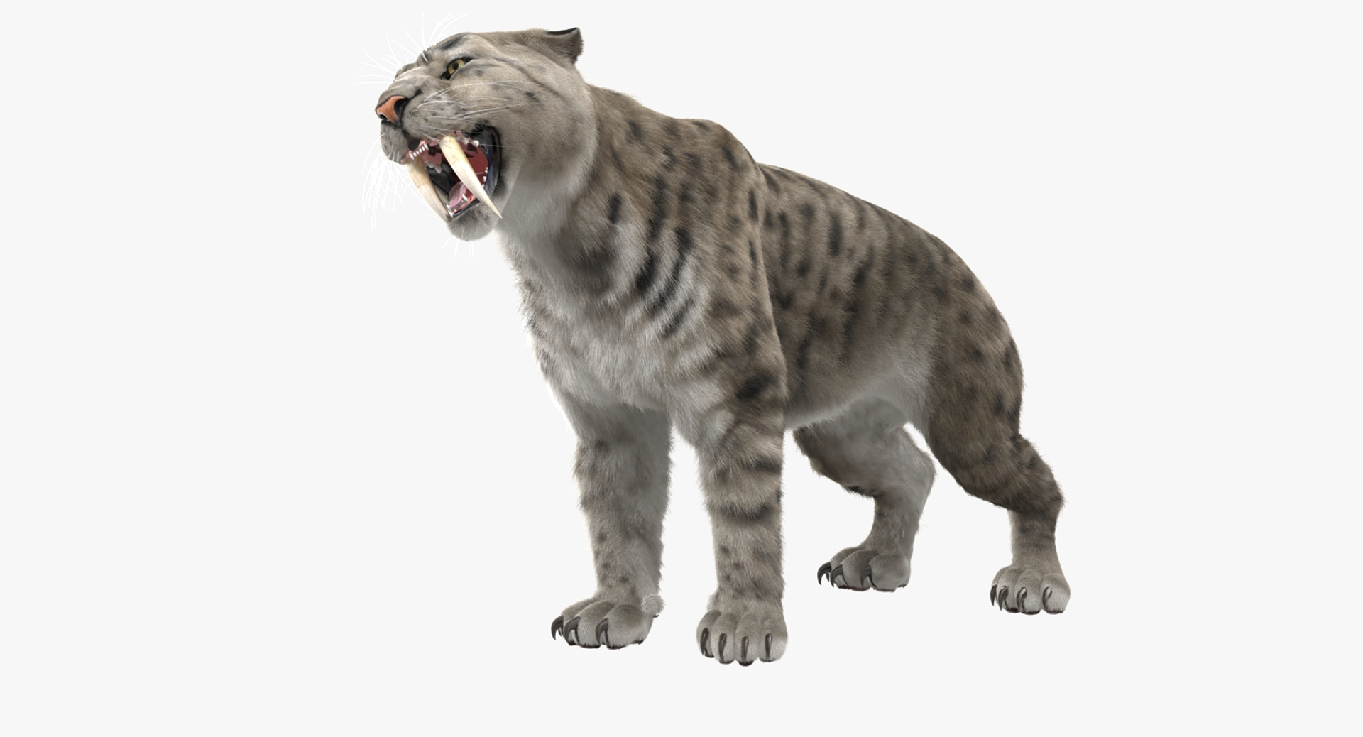 Arctic Saber Tooth Cat 3D - TurboSquid 1329410