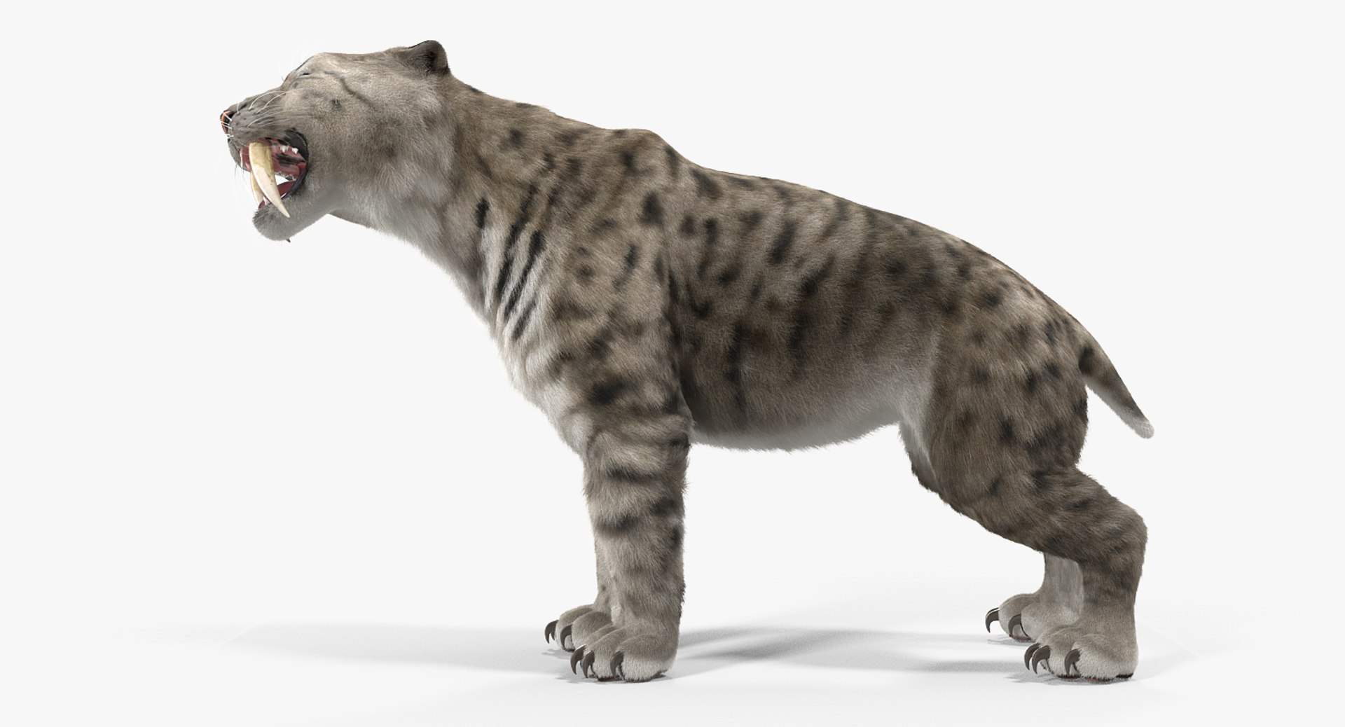 Arctic Saber Tooth Cat 3D - TurboSquid 1329410