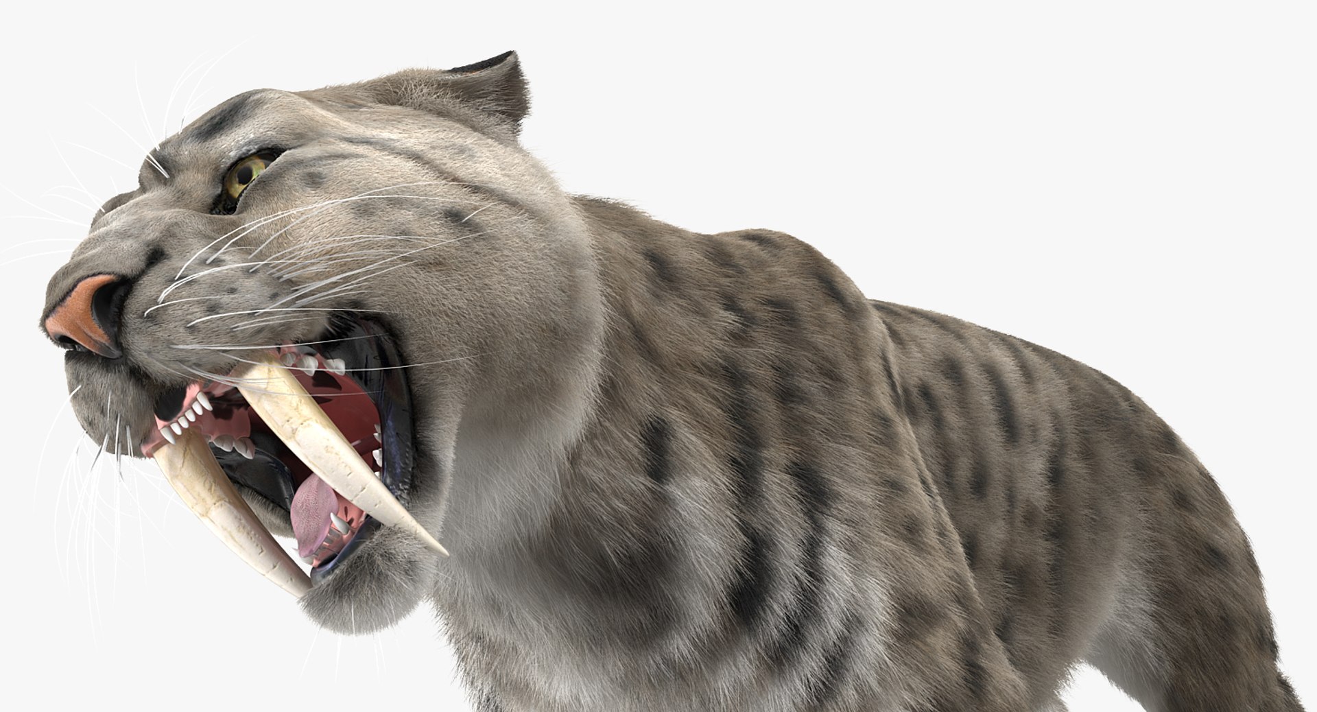 Arctic Saber Tooth Cat 3D - TurboSquid 1329410