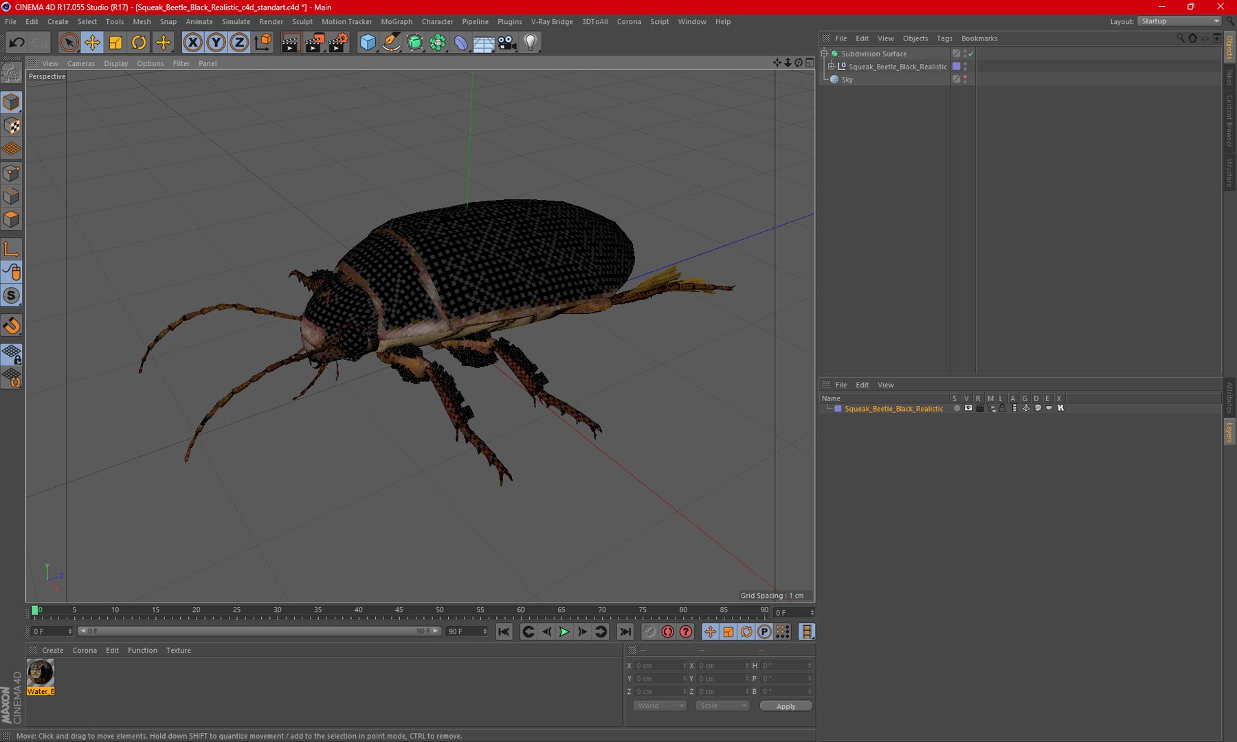 Squeak Beetle Black Realistic Model - TurboSquid 2243038