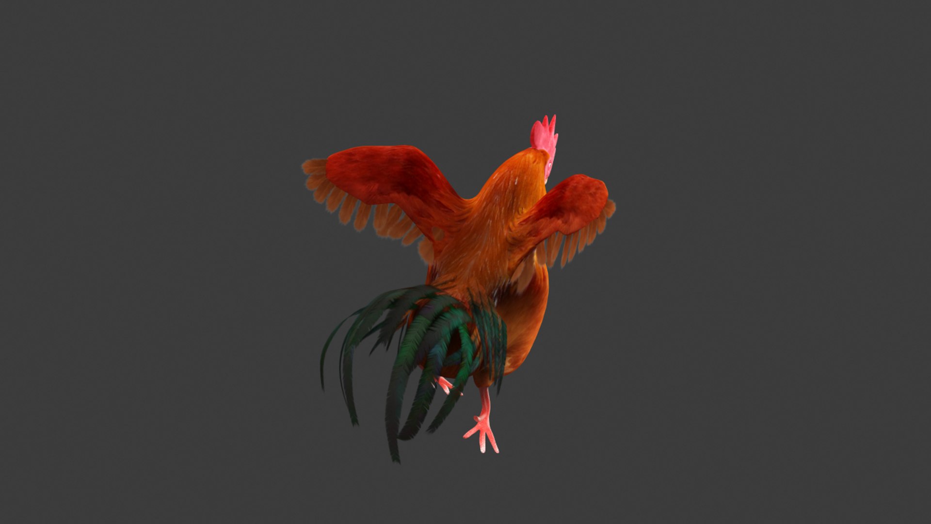 Chicken Rigged 3D Model - TurboSquid 1313196