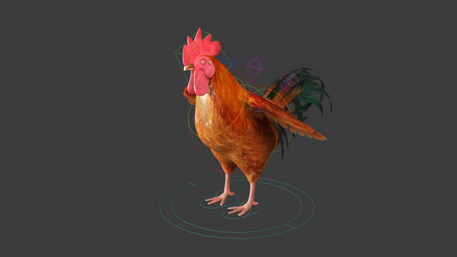 Chicken Rigged 3D Model - TurboSquid 1313196