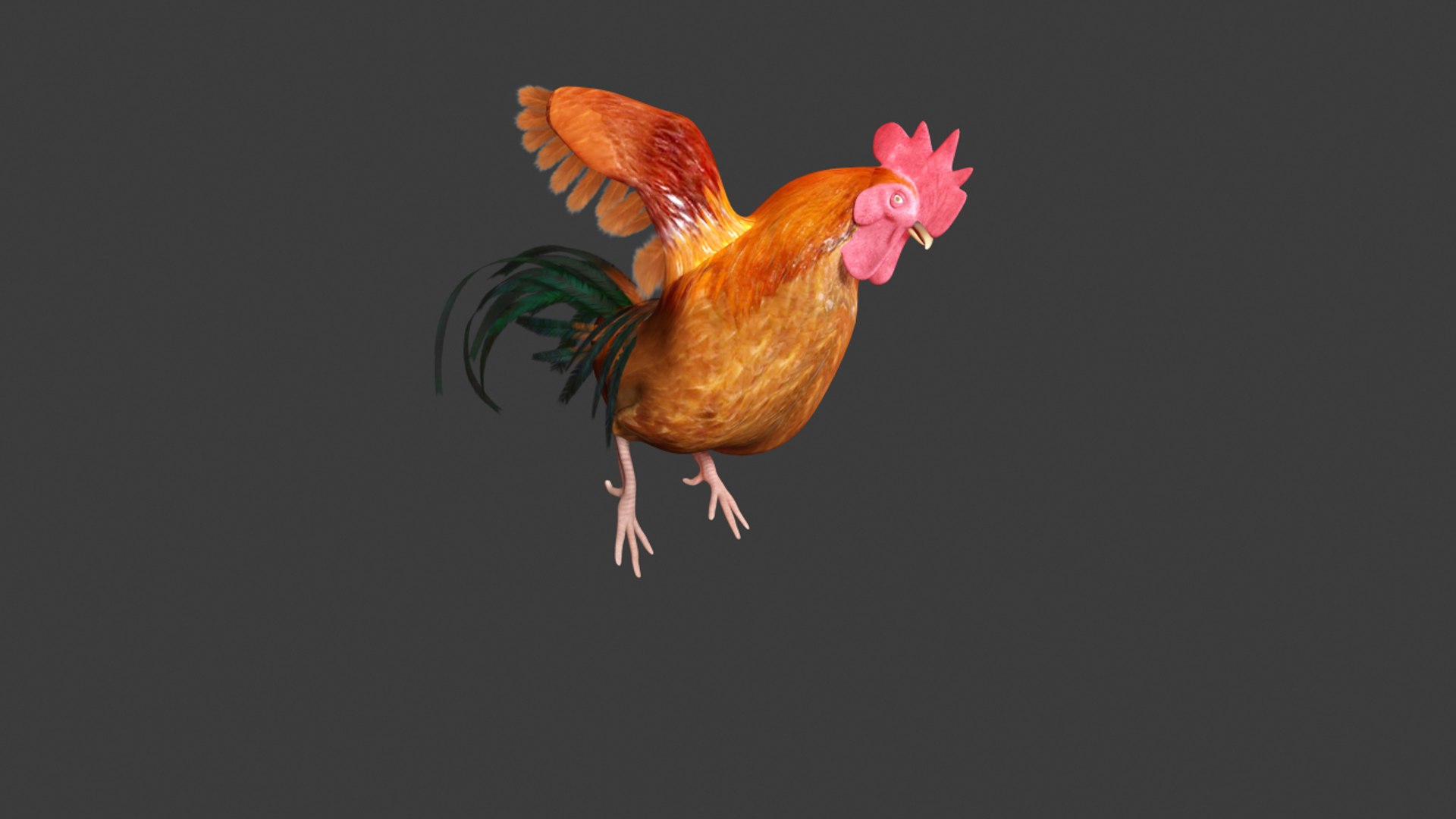 Chicken Rigged 3D Model - TurboSquid 1313196