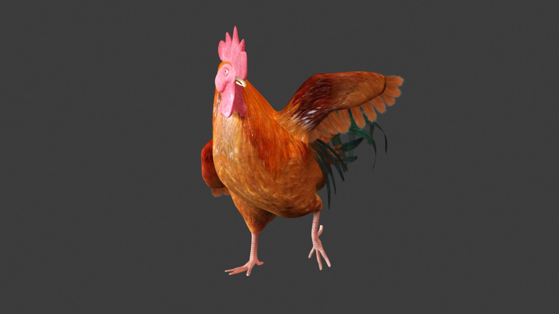 Chicken Rigged 3D Model - TurboSquid 1313196