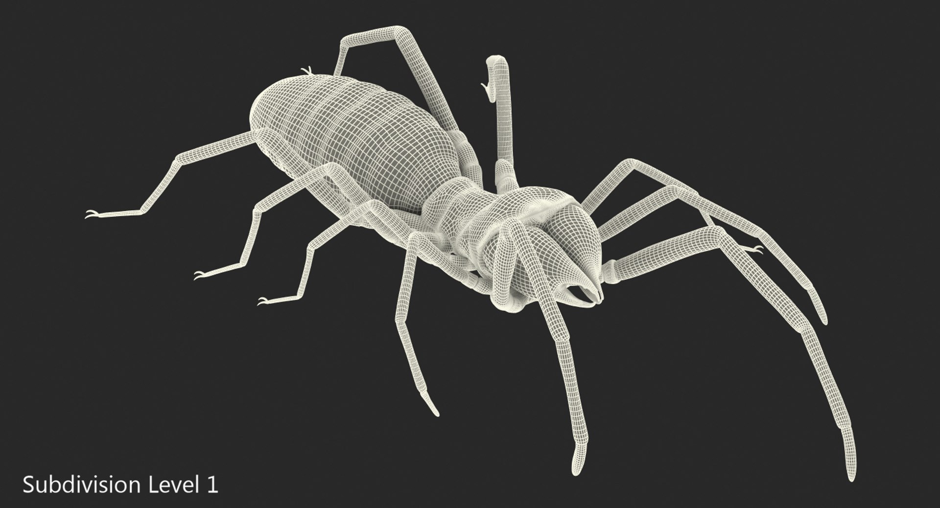 Sun Spider 3D Model - TurboSquid 1195516