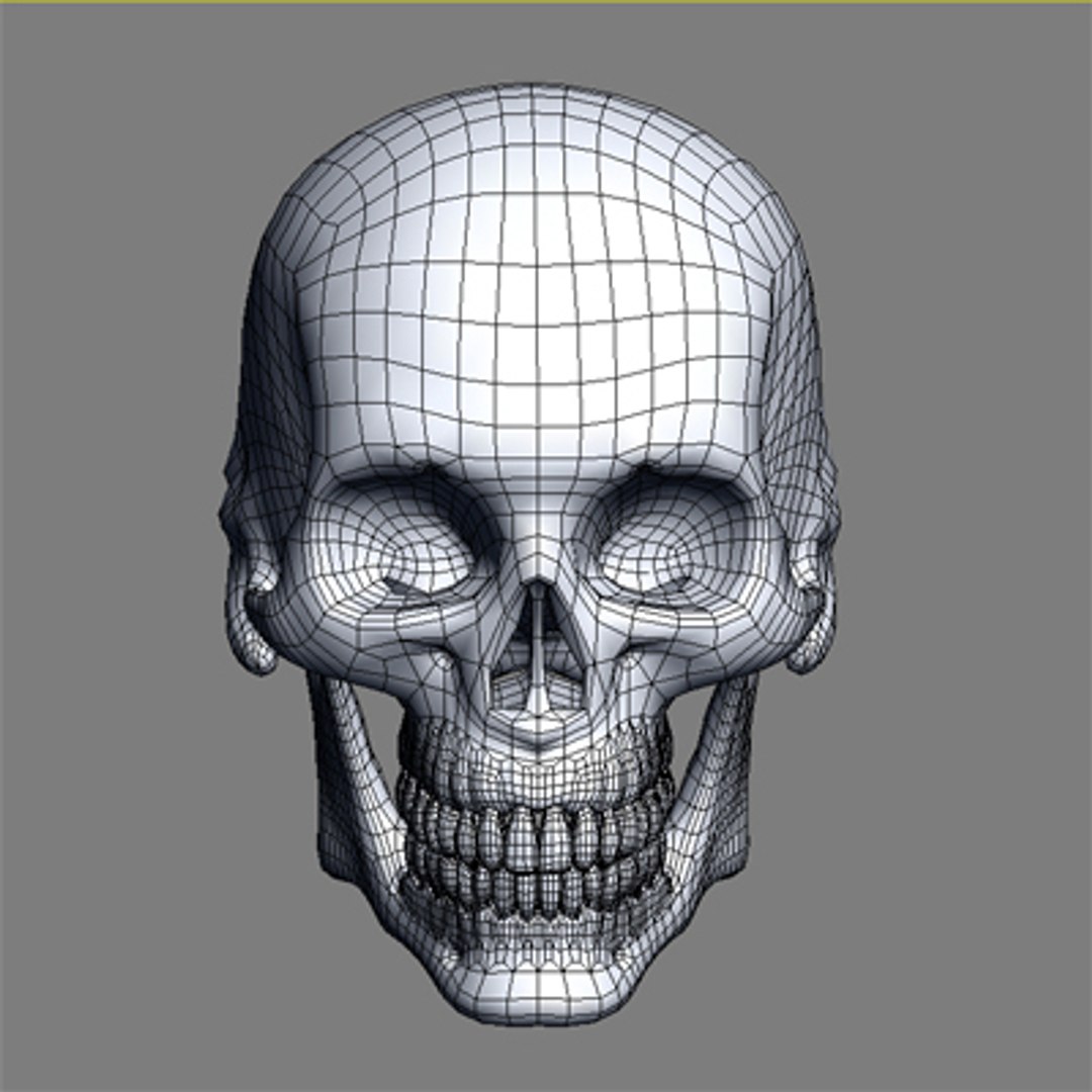 3ds Max Decayed Skull