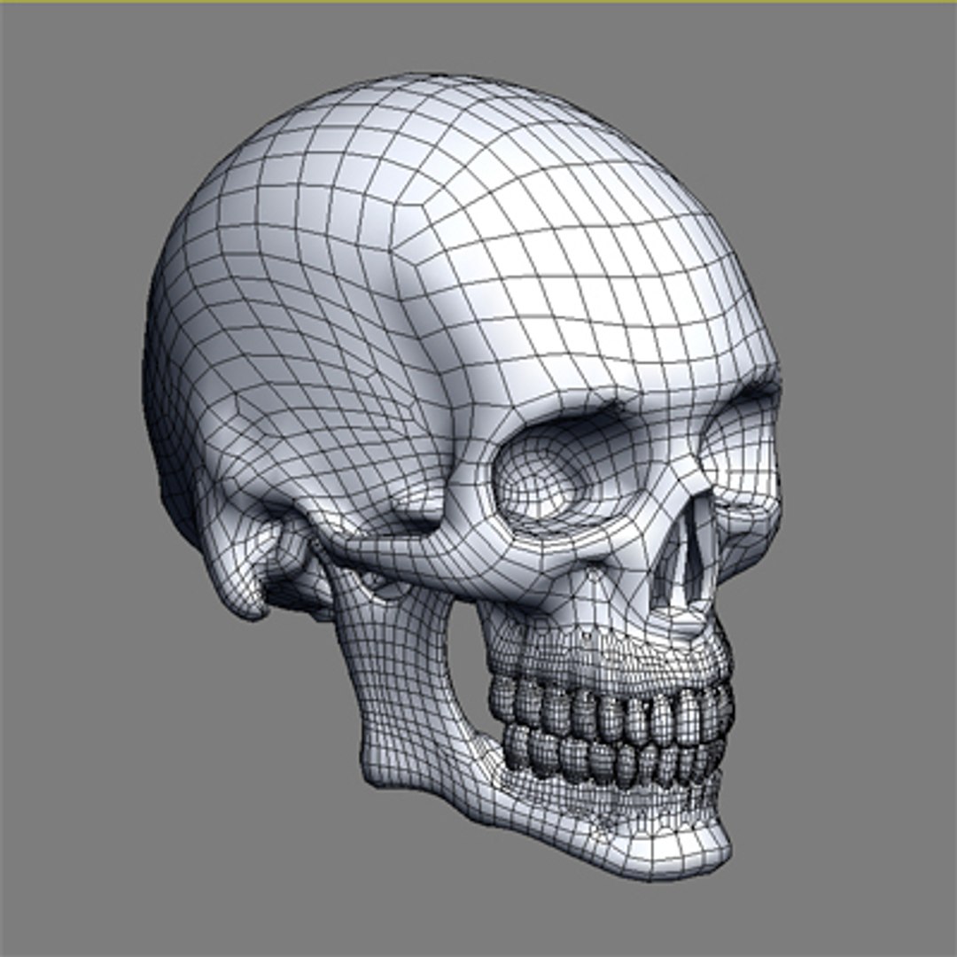 3ds Max Decayed Skull
