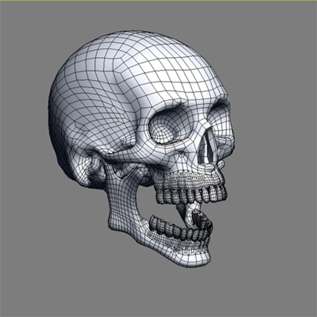 3ds Max Decayed Skull