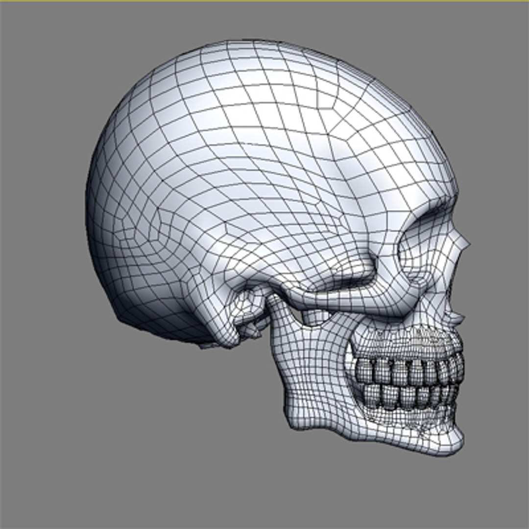 3ds Max Decayed Skull