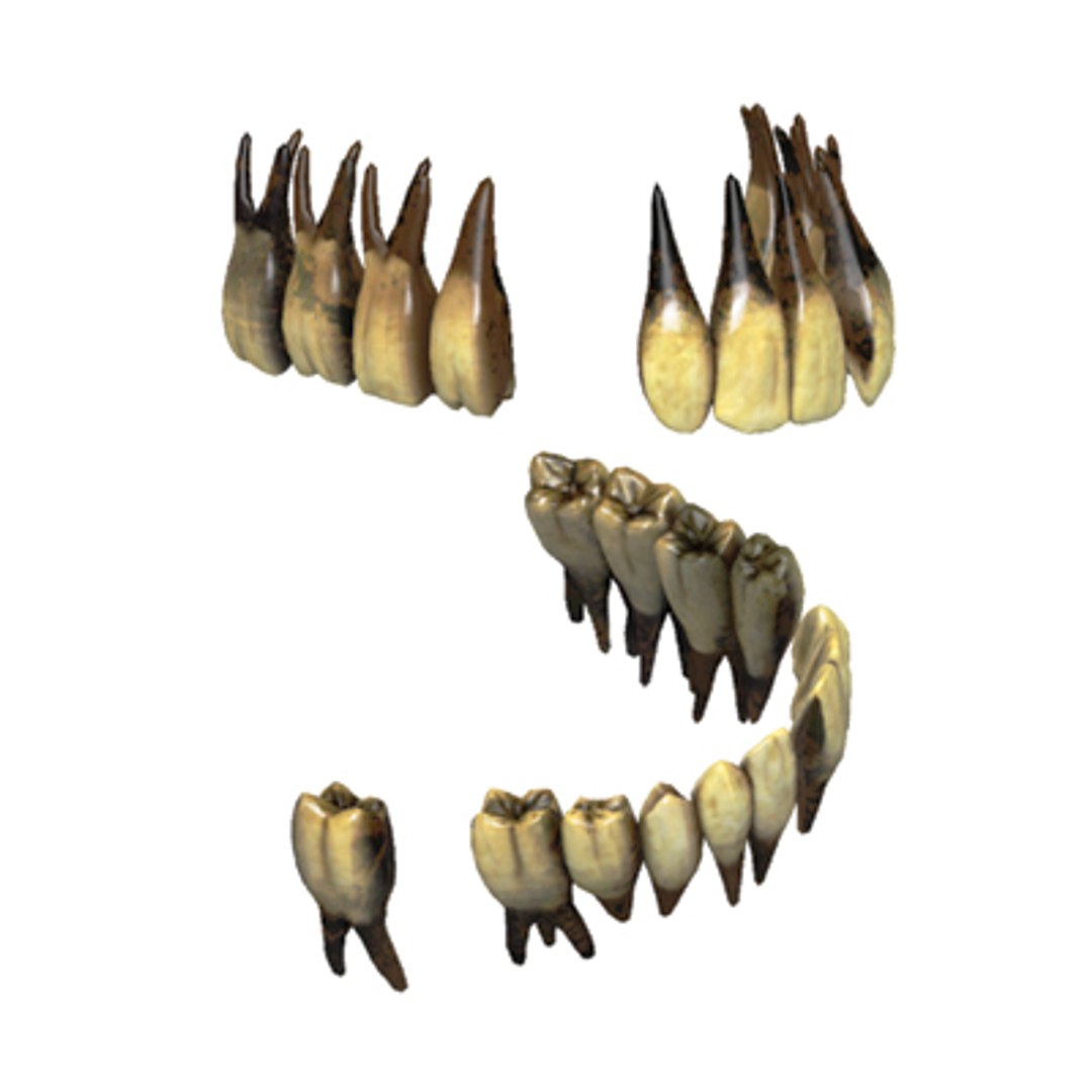 3ds Max Decayed Skull