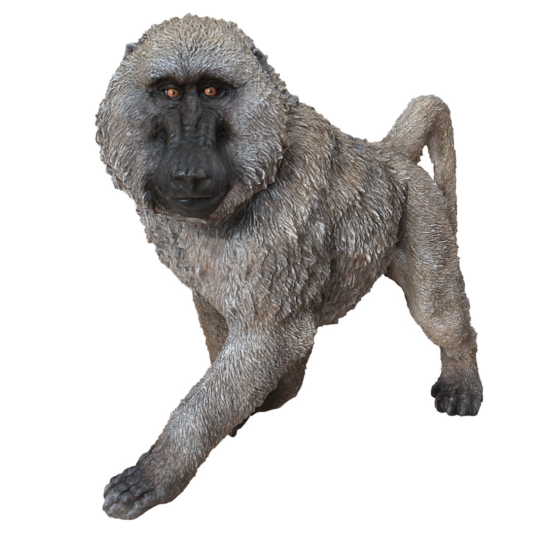 Deco Figurine Monkey Walking 3D Model - TurboSquid 1376897