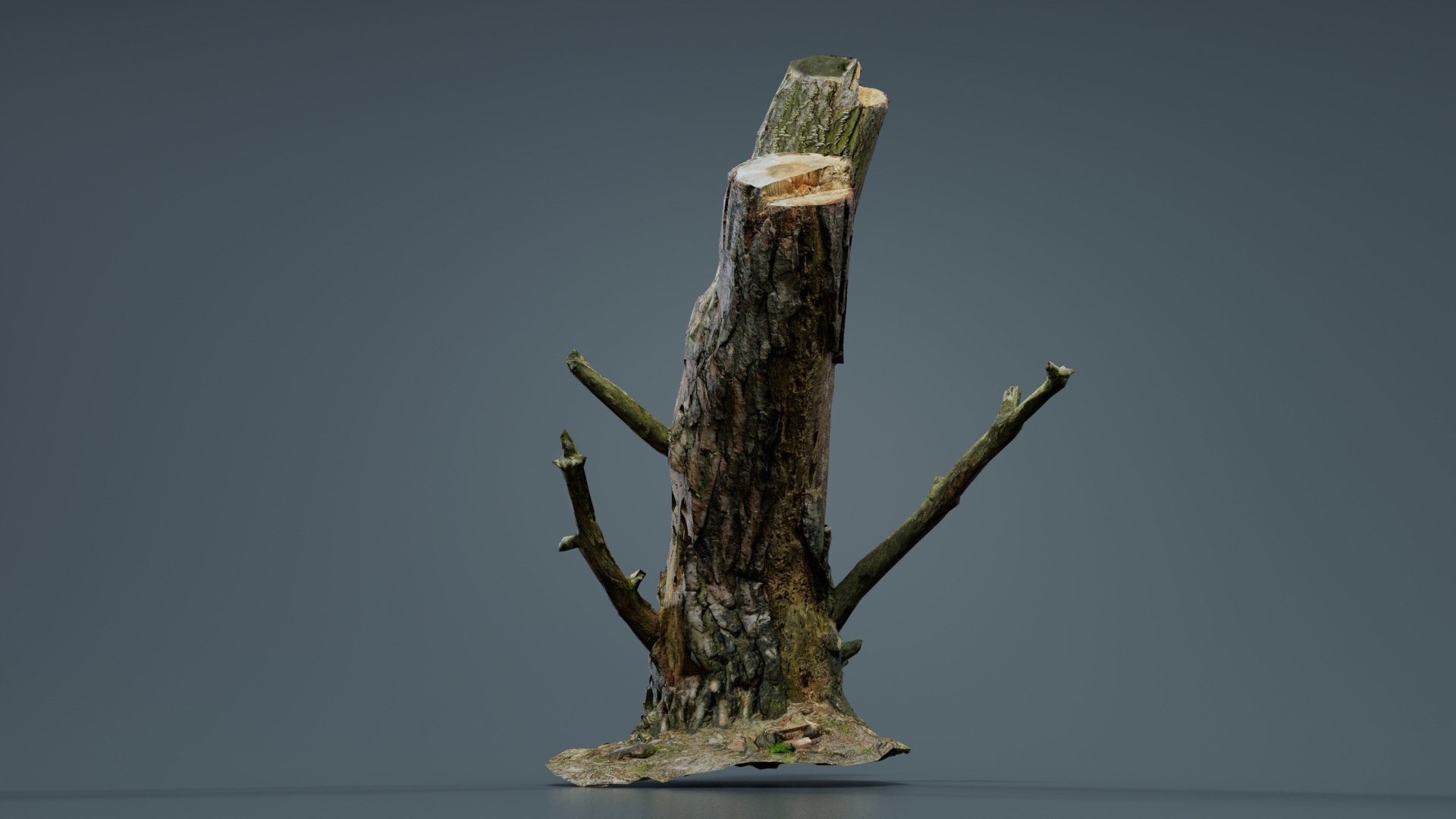 3D Tree Stump With Small Off Shoots Remastered - TurboSquid 2363155