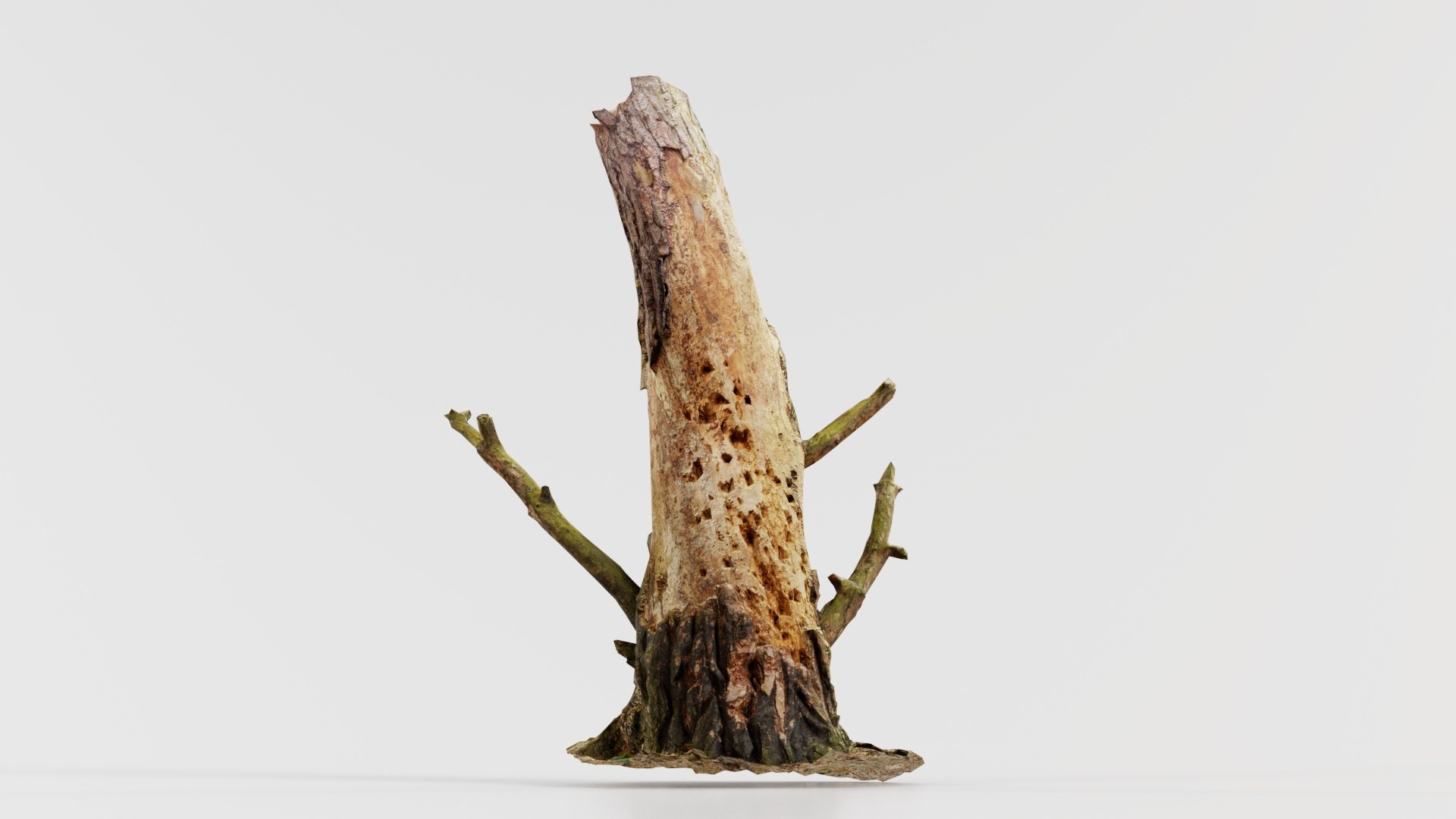 3D Tree Stump With Small Off Shoots Remastered - TurboSquid 2363155