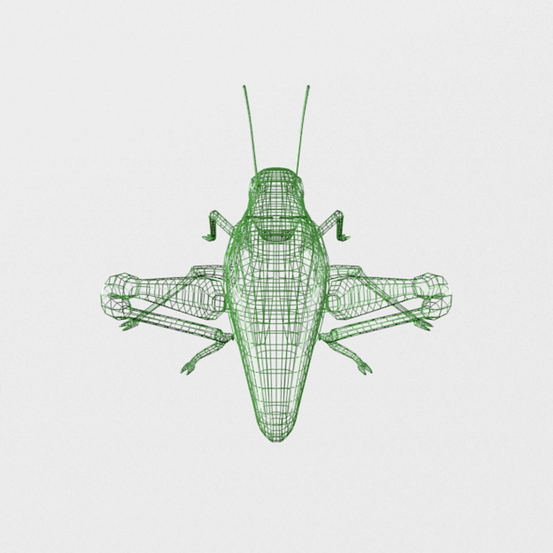 Grasshopper Games Model - TurboSquid 1334215