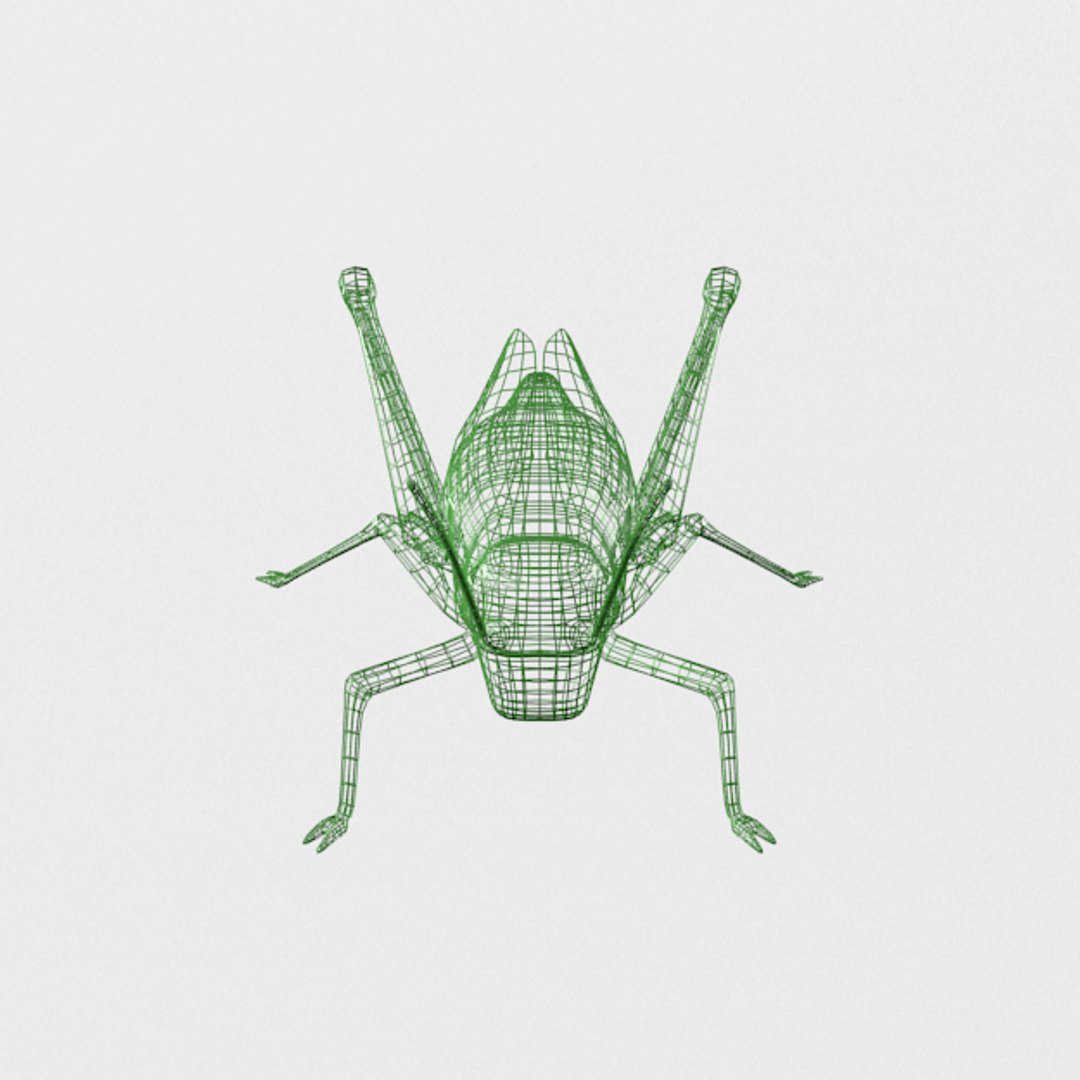 Grasshopper Games Model - TurboSquid 1334215