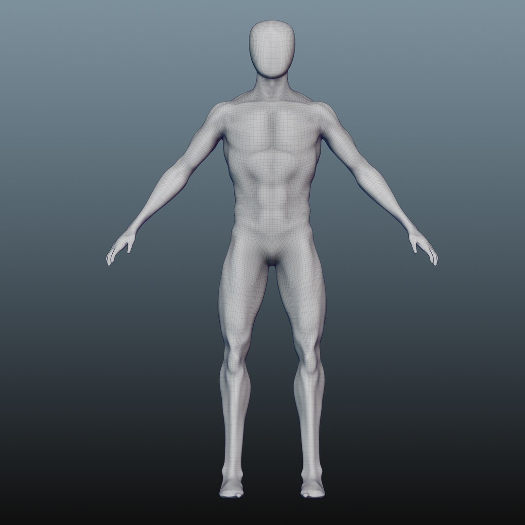 Base Male Mesh 3D Model - TurboSquid 2077110