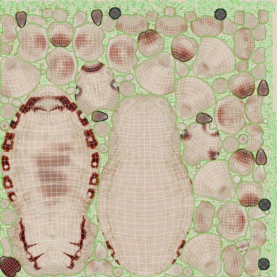 3D Model Louse White Hiding Pose - TurboSquid 2284174