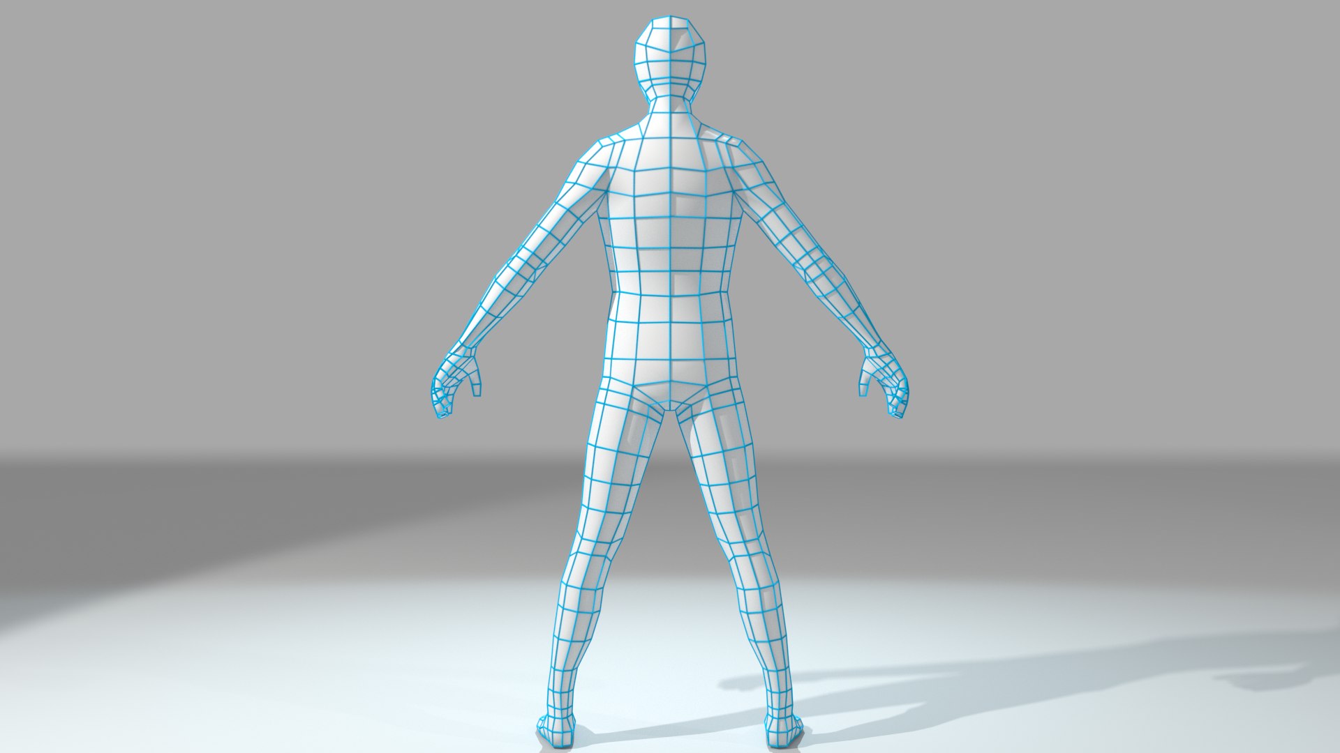 Base Mesh 3d Model