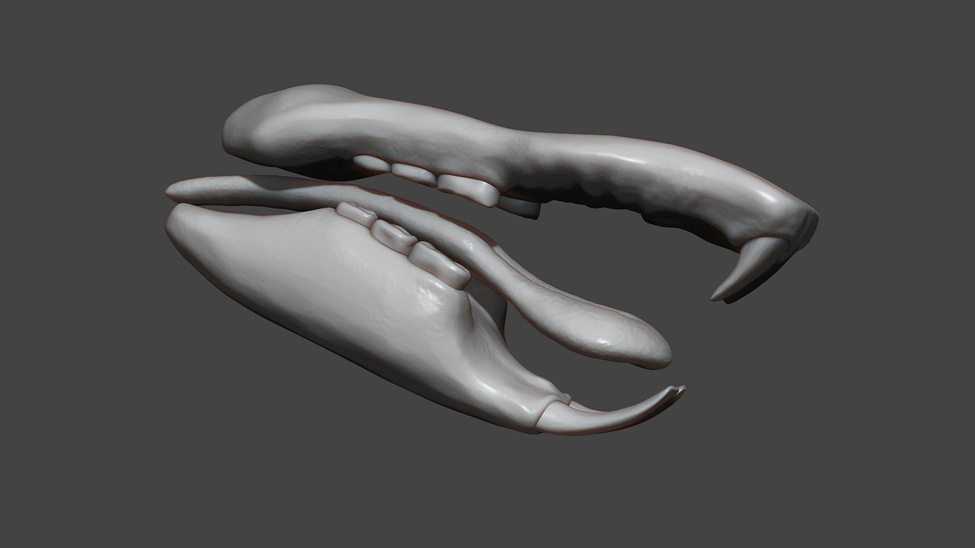 3D Rat Mouth ZBrush Sculpt - TurboSquid 1771284