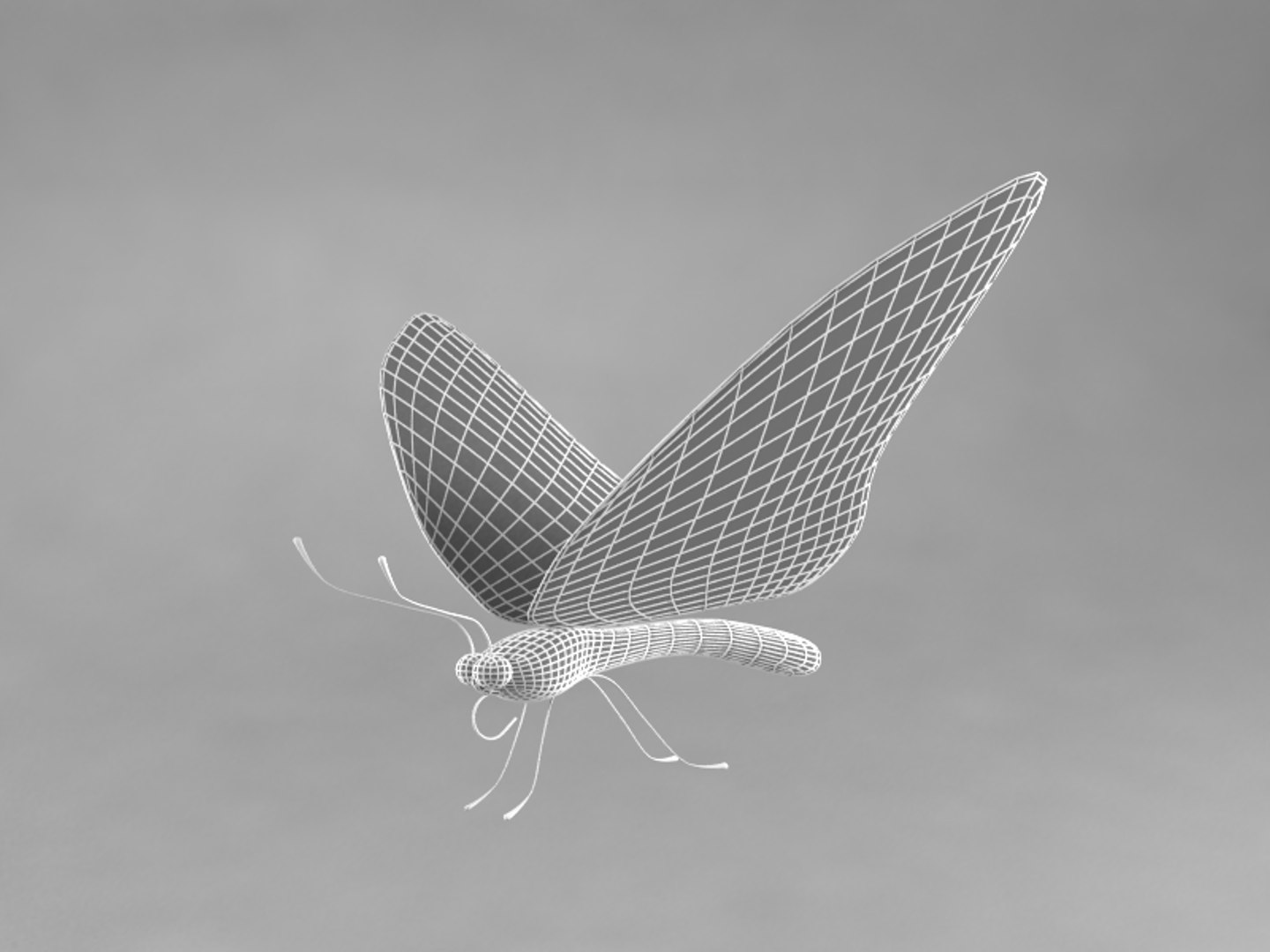 Butterfly 3d Model