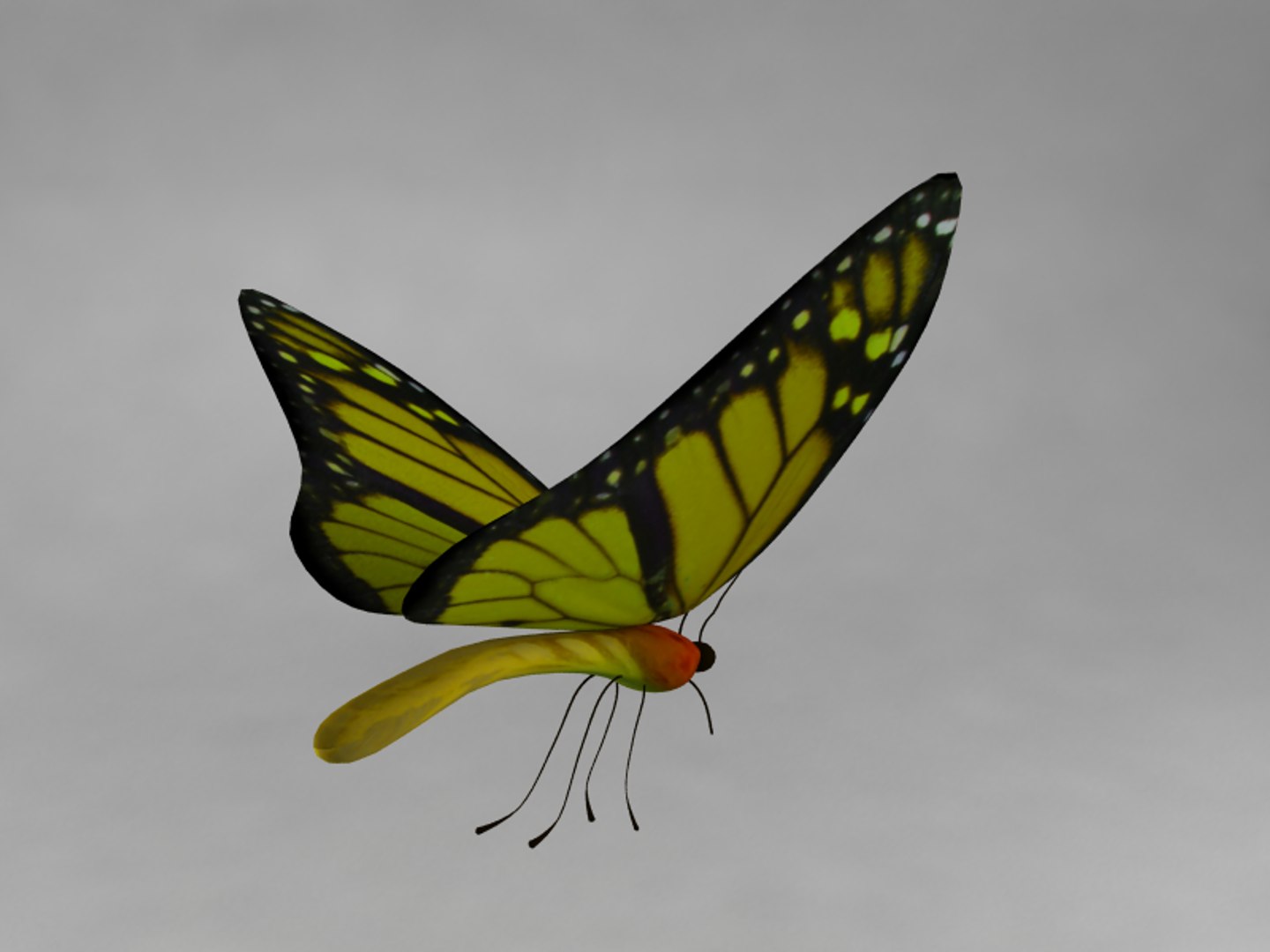 Butterfly 3d Model