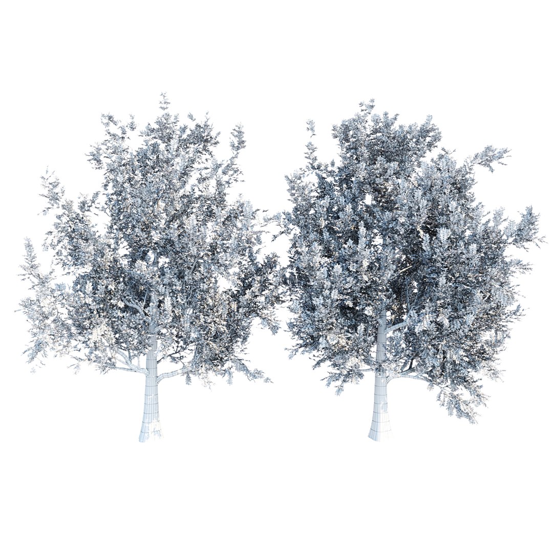 Free Trees Vol 14 3D Model - TurboSquid 1957091