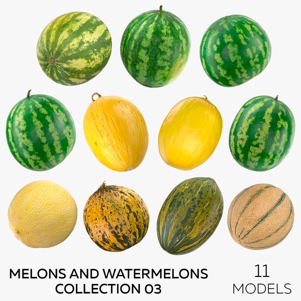 3D Watermelon Models | TurboSquid