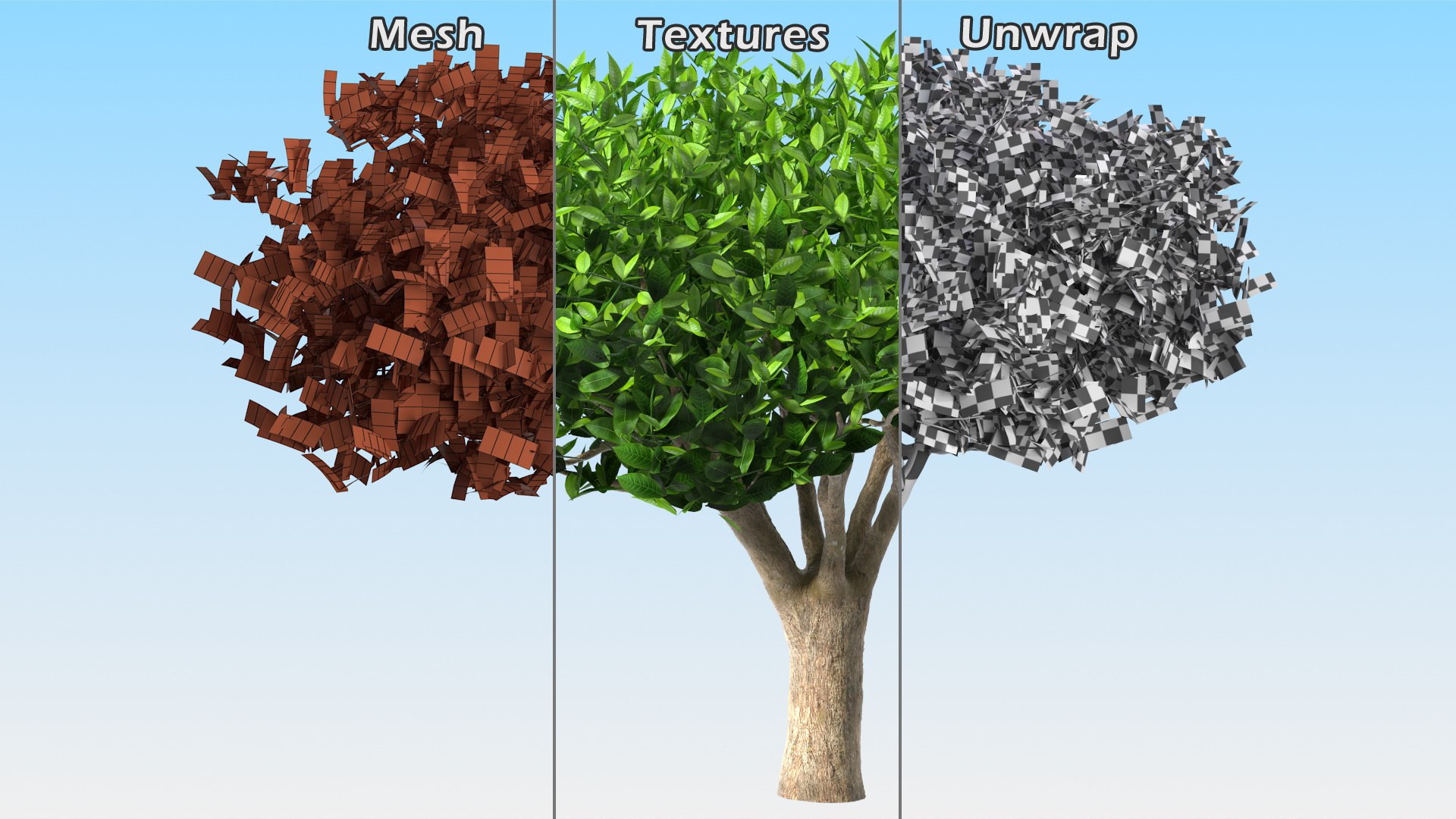 3D Green Tea Tree - TurboSquid 1858380