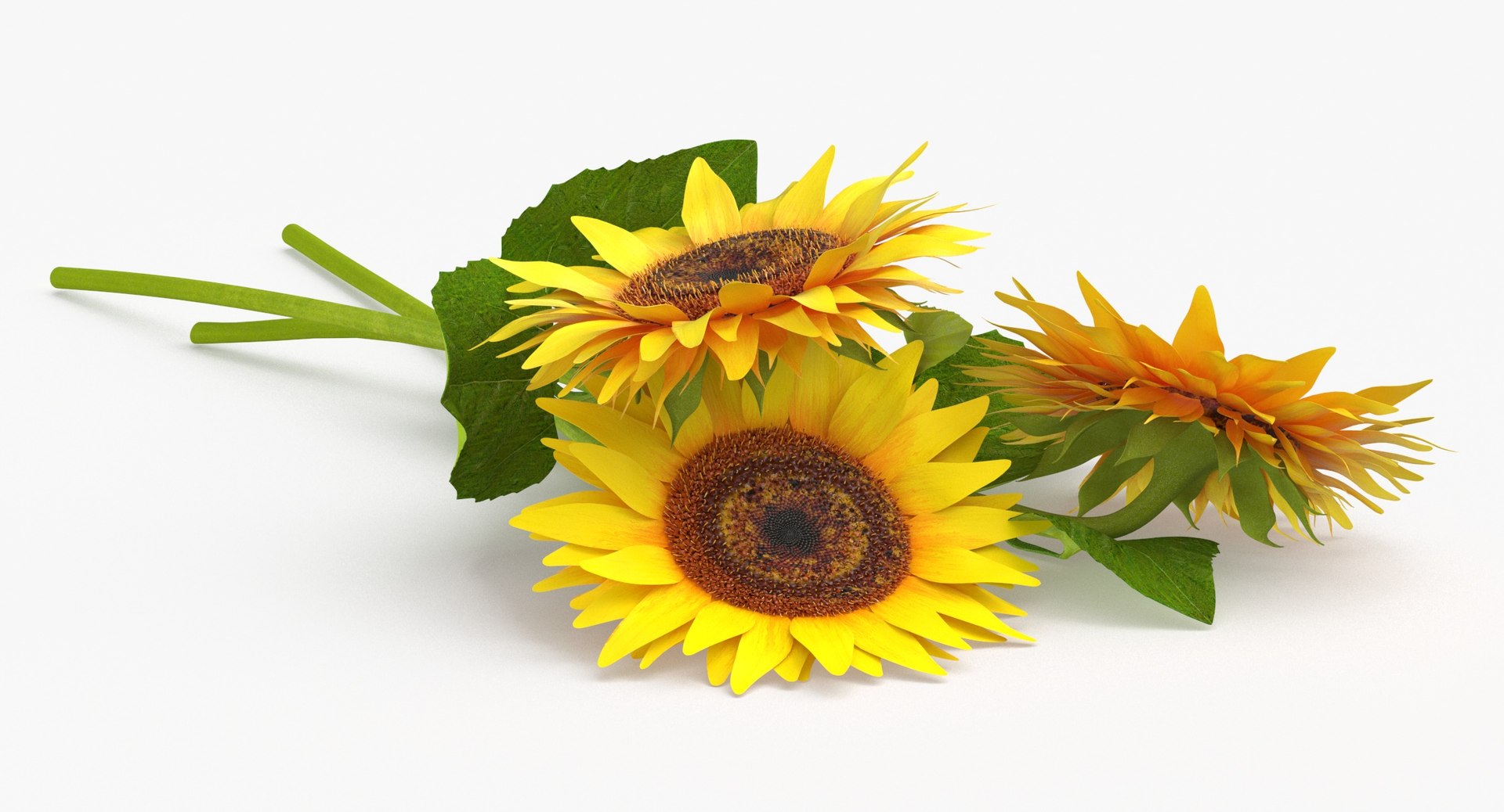 3D Prop Sunflowers Type 02 - TurboSquid 2237500