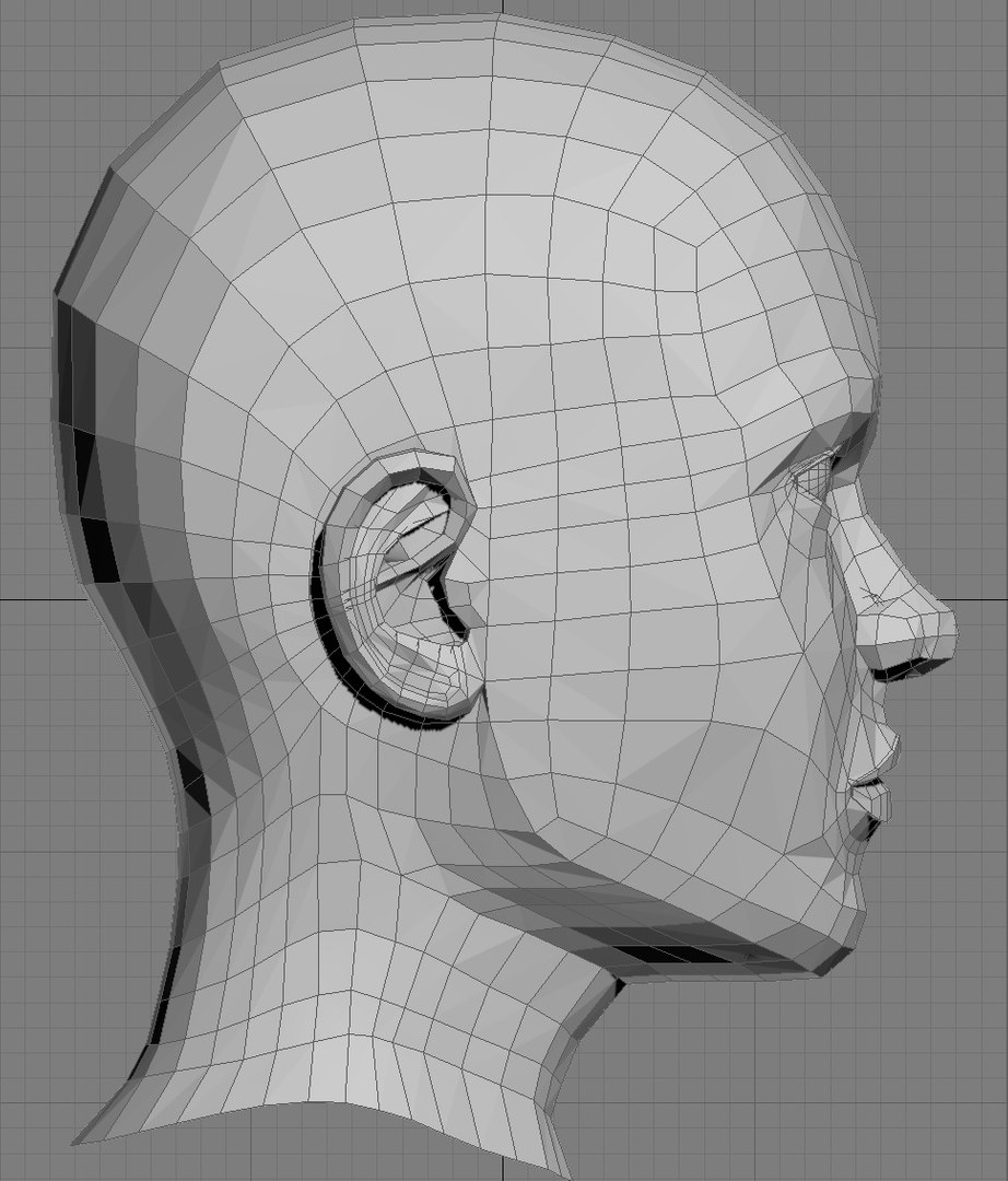 Free Young Female Head 3d Model