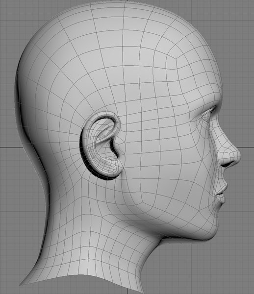free young female head 3d model