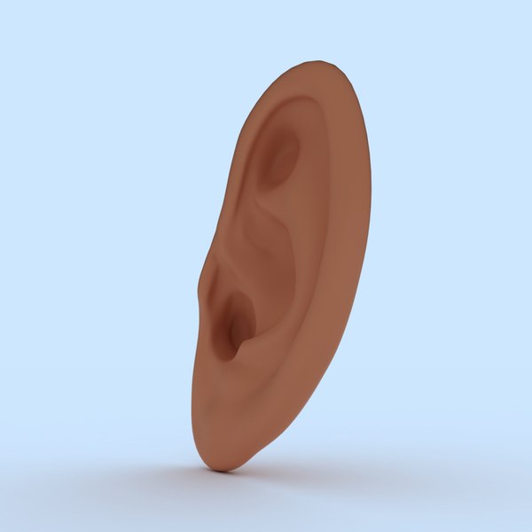 3D ear human organ model - TurboSquid 1694711