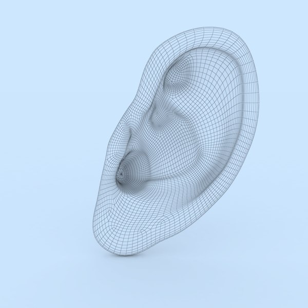 3D ear human organ model - TurboSquid 1694711