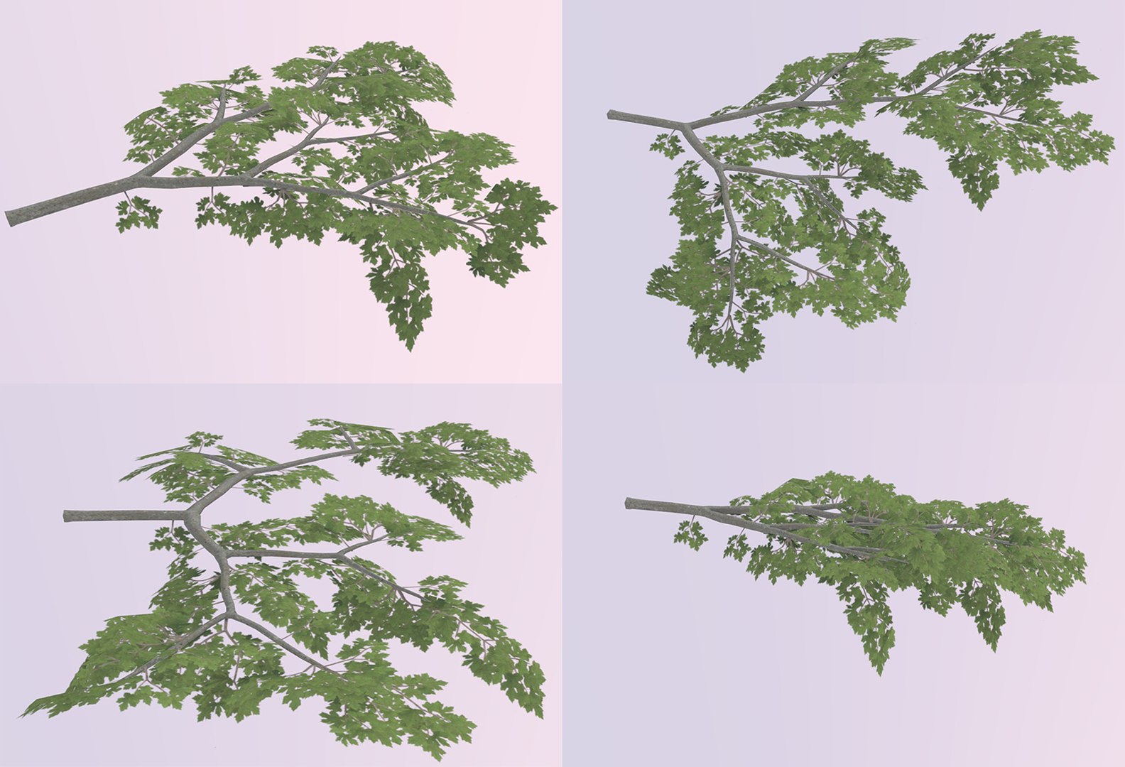 3D Model Rigged Tree Branch Types - TurboSquid 1397320
