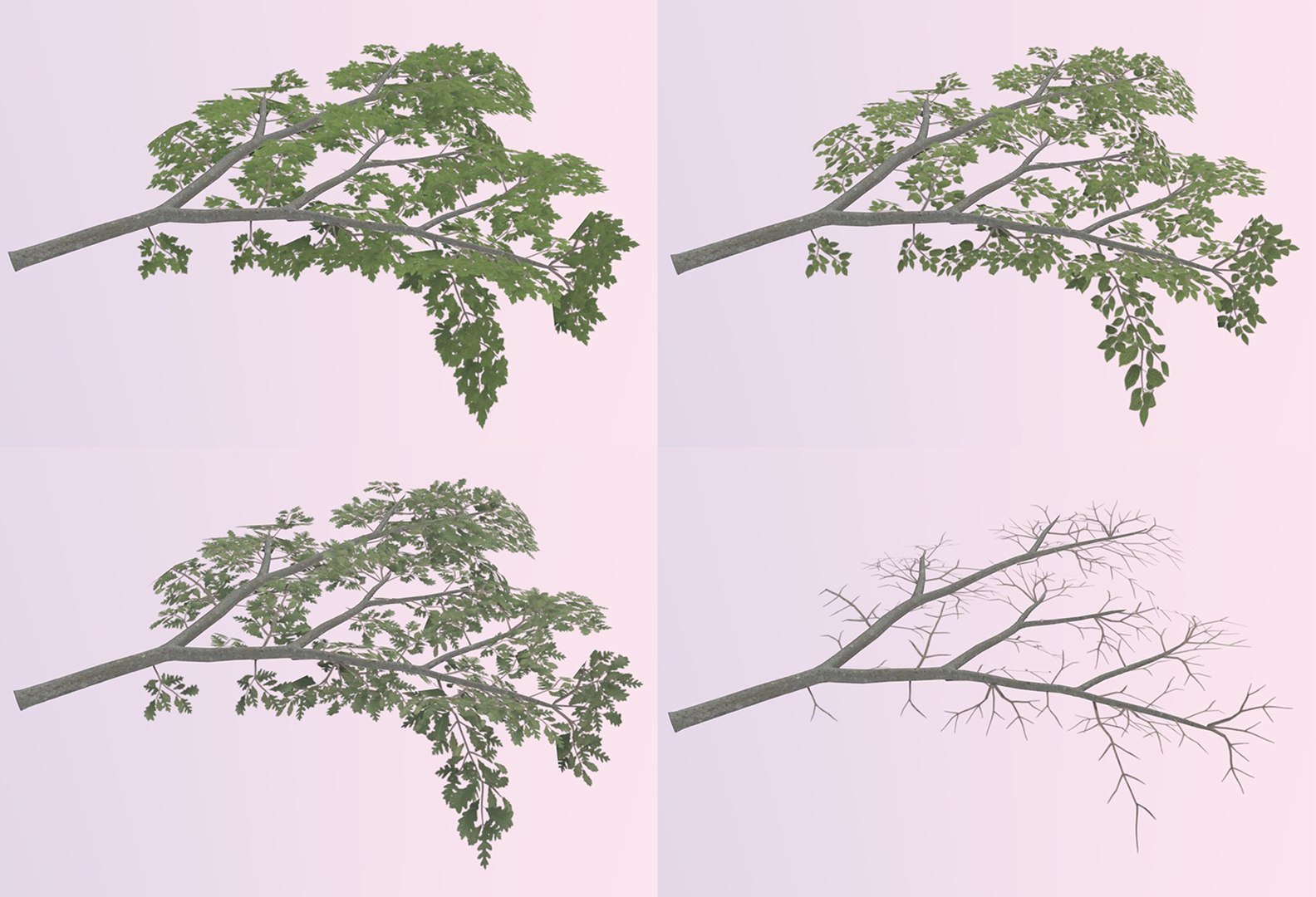 3D Model Rigged Tree Branch Types - TurboSquid 1397320