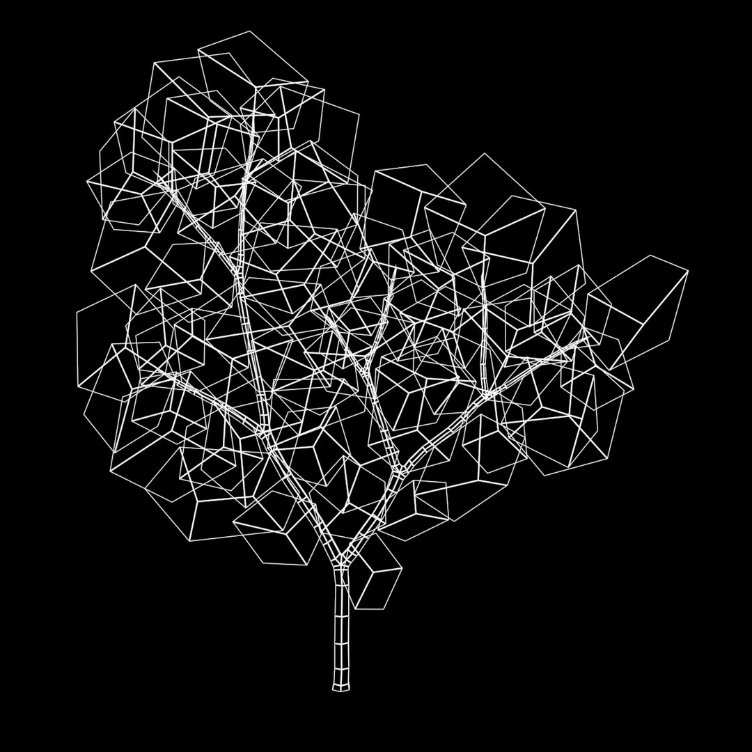 3D Model Rigged Tree Branch Types - TurboSquid 1397320