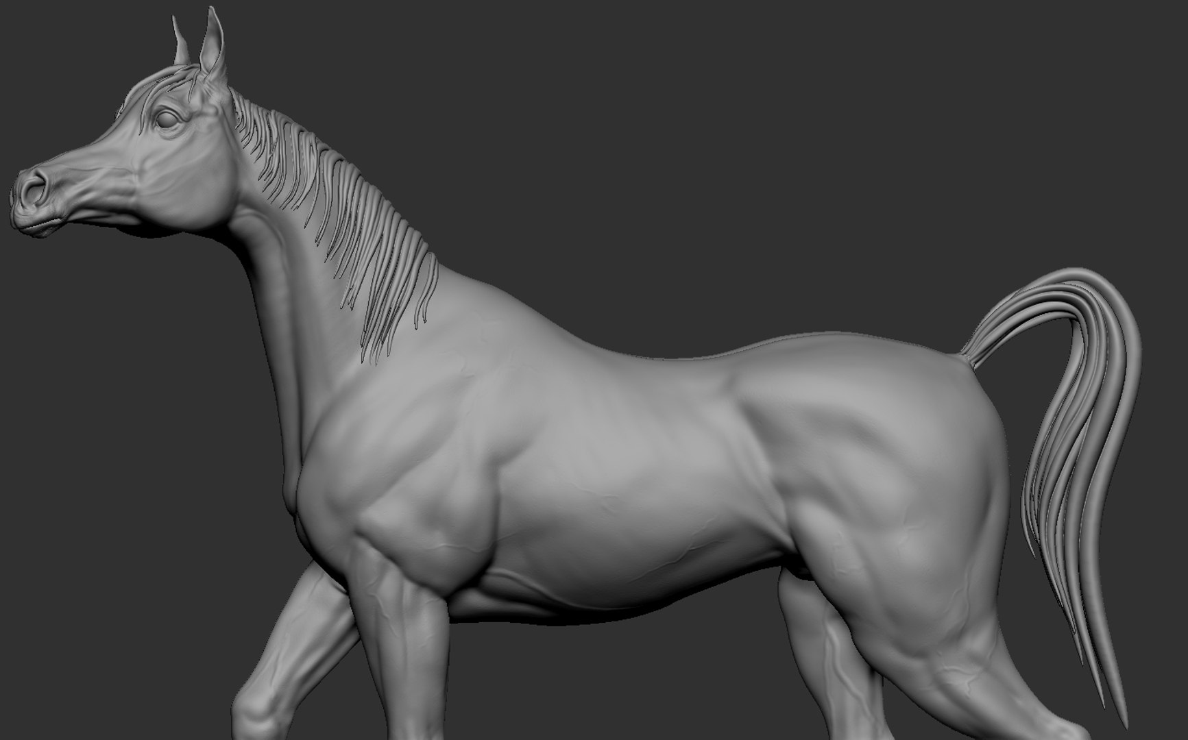 Arabian Horse 3D Model - TurboSquid 1940690