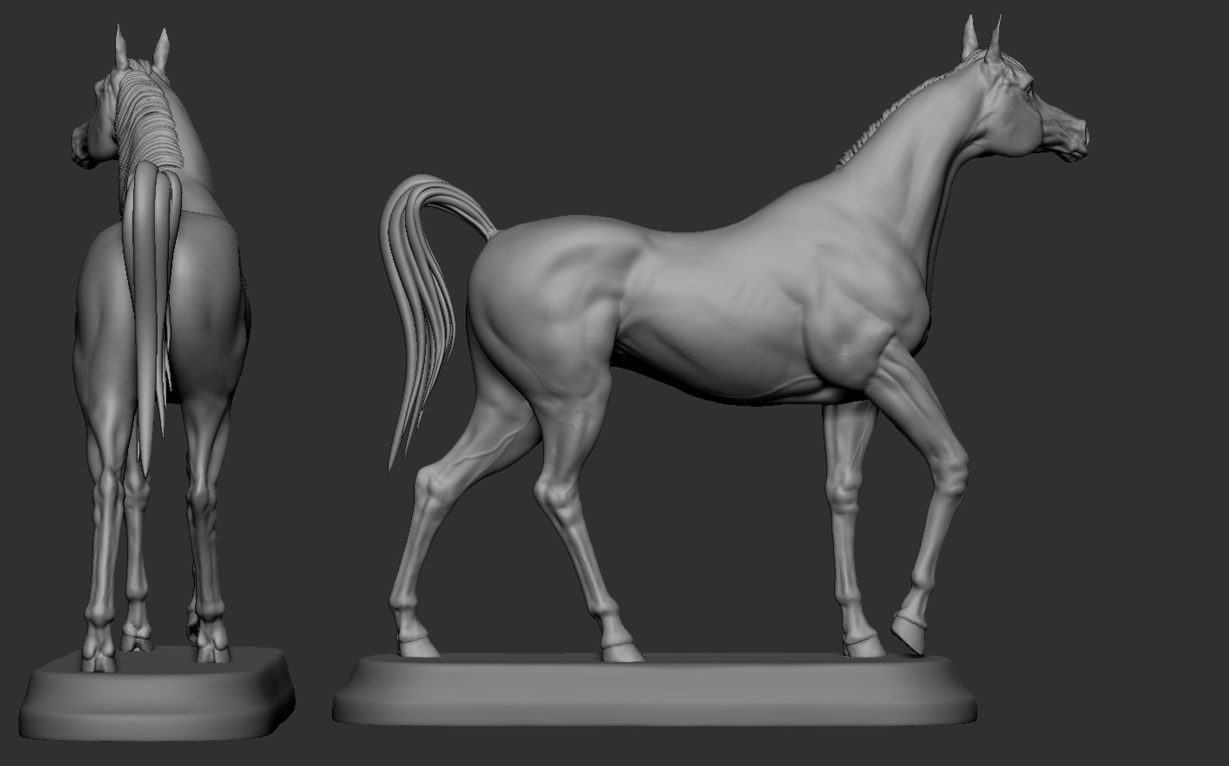 Arabian Horse 3D Model - TurboSquid 1940690